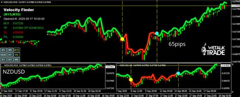 Velocity Finder Neural Trader With Best Forex Trading Strategies