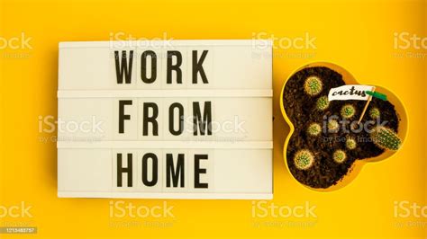 노트북 펜과 선인장과 할 일 목록 노란색 배경에 공간을 복사 검역 및 격리 홈 오피스와 집에서 텍스트 작업 라이트 박스 0명에 대한 스톡 사진 및 기타 이미지 Istock