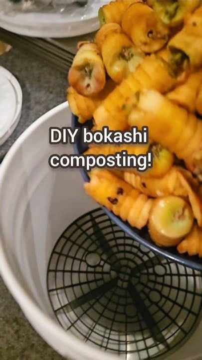 Cheap And Easy Diy Bokashi Composting Bucket Easiest Composting Method Youtube