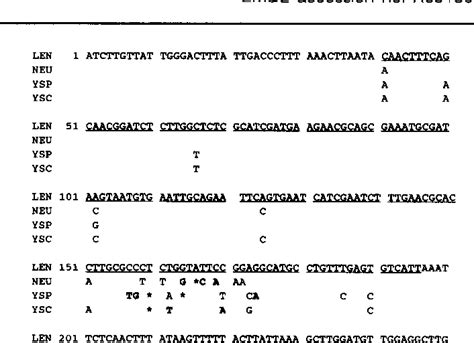 Figure 1 From Nucleotide Sequence Of The 5 8s Ribosomal Rna Gene Of Lentinula Edodes Semantic