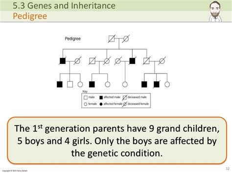 IGCSE Genes And Inheritance