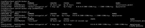 Docker配置java环境（全手动方式）docker配置jdk环境 Csdn博客