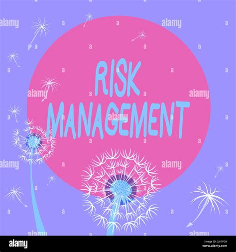 Writing Displaying Text Risk Management Word Written On Evaluation Of