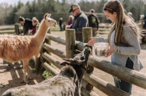 Lazy 5 Ranch Lazy 5 Ranch Added A New Photo