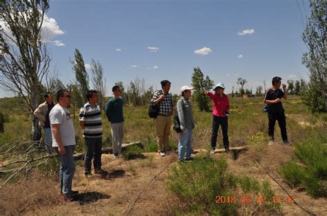 国家生态系统观测研究网络