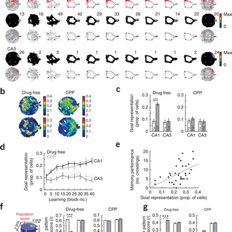 Goal Related Reorganization Of Hippocampal Assembly Patterns A