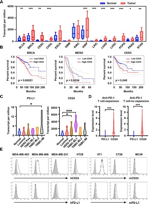 Discovery Of A Novel Dual Targeting D Peptide To Block Cd24 Siglec 10 And Pd 1 Pd L1 Interaction