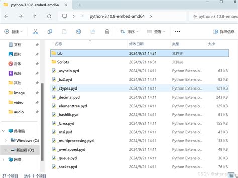 Embeded Python 整合包download Windows Embeddable Package 64 Bit Csdn博客