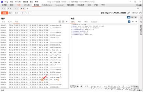 中间件安全—apache常见漏洞 apache漏洞 csdn博客