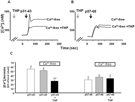 A And B Superimposed Single Cell Traces Representative For The Download Scientific Diagram