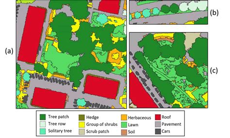 Detailed Classification Of Trees And Shrubs Based On Spatial