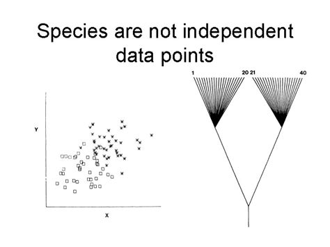 Correlation And Regression Spearmans Rank Correlation An Alternative