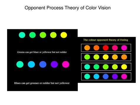 Ppt Color Vision Powerpoint Presentation Free Download Id4374190