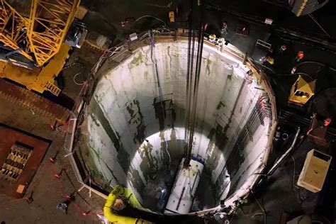 Unicellular And Multicellular Organisms Examples And Differences