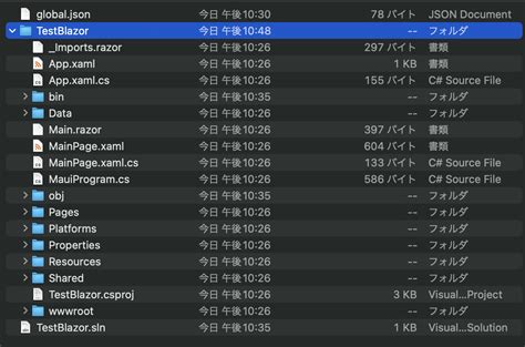 Additional Files In Blazor Hybrid Project Throw Error By Default · Issue 41397 · Dotnet