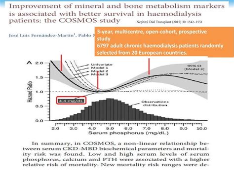 Hyperphosphatemia In Ckd Patients The Magnitude Of The Problem Prof Alaa Sabry Ppt