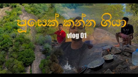 ගමේ උසම ගල උඩ පූසෙක් කන්න ගියා 🐱🙉 Youtube