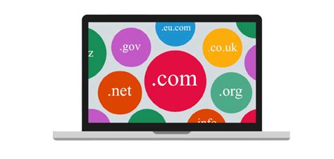 Domain Name Bali Web Developer