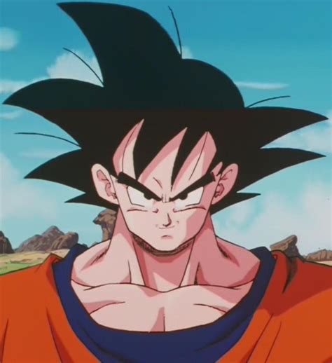 Son Gokū Dragon Ball Wiki Fandom