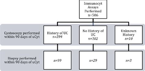 Figure 1 From Reflex Immunocyt Testing For The Diagnosis Of Bladder