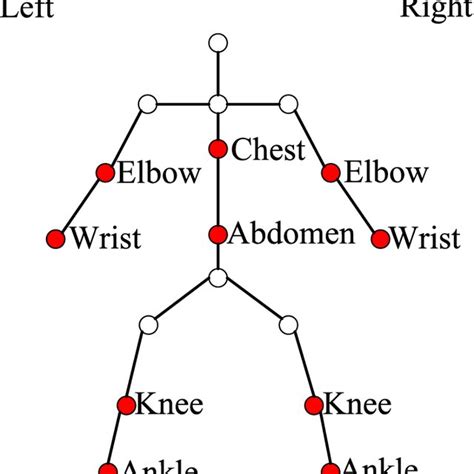 Visualization Of Three Axis Acceleration Recognition Rate Download