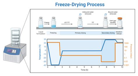Freeze Drying Process Lyophilization Biorender Science Templates