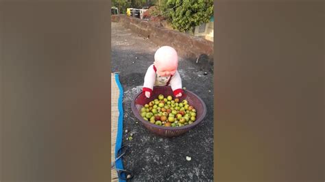 ছুটকির ভাই লুকিয়ে লুকিয়ে কি খাছে😃😃😛😛🤣🤣🤣🤣 Shrots Funny Viral Youtube