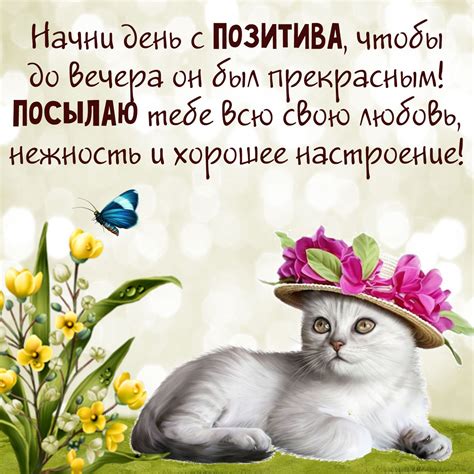 Открытки позитивные (27 фото)