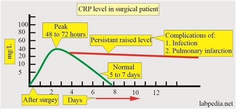 C Reactive Protein Crp High Sensitivity C Reactive Protein Hs Crp