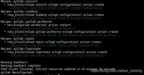 2021树莓派上使用 Gitlab 搭建私有git 服务 源码巴士