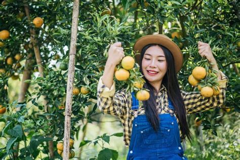 Fruit Size Management How To Get Bigger Fruits And Techniques For