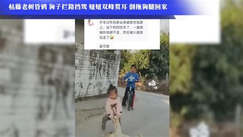 主人添衣时猫咪跳入洗衣机里，在洗衣机里洗了两分钟才被发现腾讯新闻