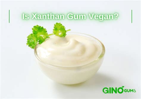 Is Xanthan Gum Vegan The Truth Behind This Versatile Food Additive