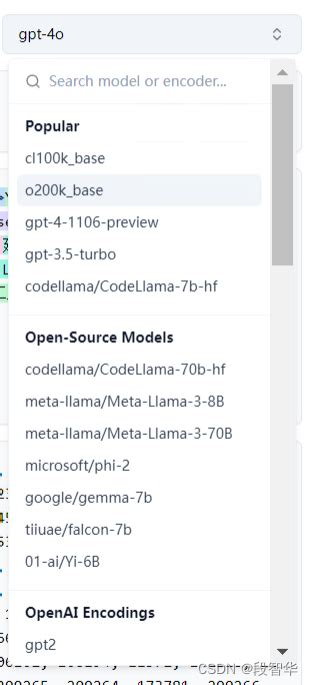 大模型标记器之tokenizer可视化（gpt 4o）
