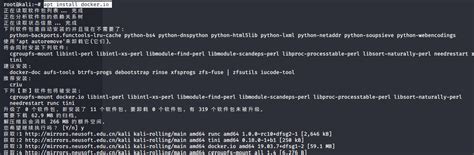 kali中安装漏洞靶场vulhub 超详细 小艾搞安全 博客园