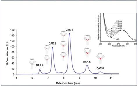 analysis method for drug to antibody ratio dar of antibody drug