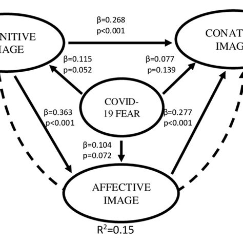 pls sem path model with path coefficients the analysis tested the