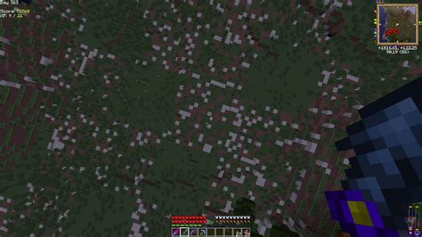 How To Install Morph Mod On Yogbox Neloscanner