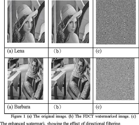 figure 1 from watermarking algorithm based on curvelet transform and human visual model