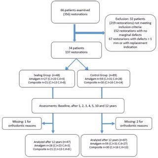 Flow Chart Of Clinical Design C I Class I C Ii Class Ii Download Scientific Diagram