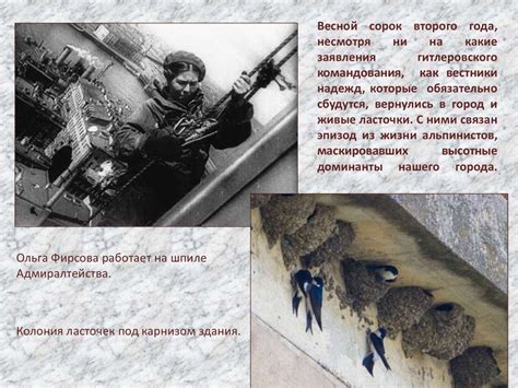 Блокадная ласточка - презентация онлайн