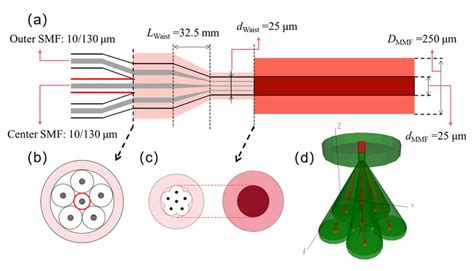 Geometrical Structure Of A 6 × 1 Photonic Lantern A Sectional View Download Scientific