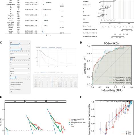 Construction Of The Nomogram A The Prognostic Clinical Factors Download Scientific Diagram