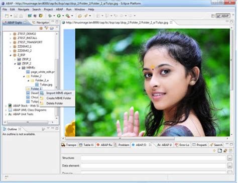 Abap In Eclipse Sapignite