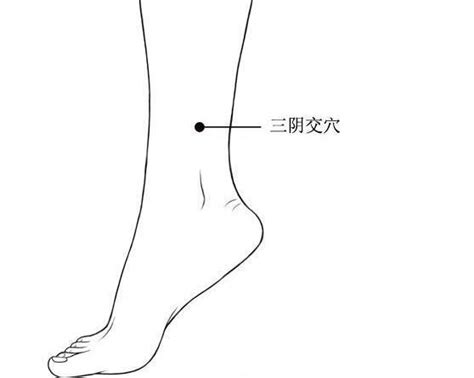 三阴交穴图册360百科