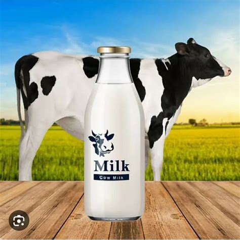 Cow Milk Packet At ₹ 40 Litre In Nashik Id 2857497782491