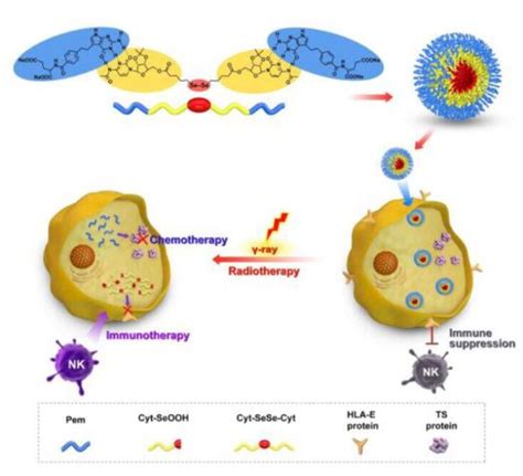 Huaping Xu 许华平研究组 Department of Chemistry Tsinghua University Beijing 清华大学化学系