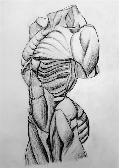 Artstation Figure Drawing Anatomy