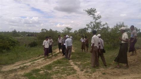 ေညာင္ဦးေဒသခံတဦး ေတာဆင္႐ိုင္းႏွာေမာင္းျဖင့္ ကိုင္႐ုိက္ခံရ