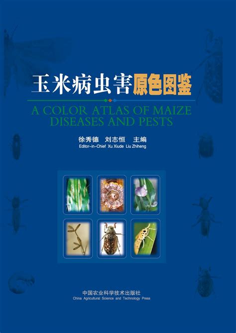 （三十三）中华稻蝗（chinese rice grasshopper） 植保专题库